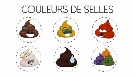 Quelle est la signification d’un caca vert ? CacaZen